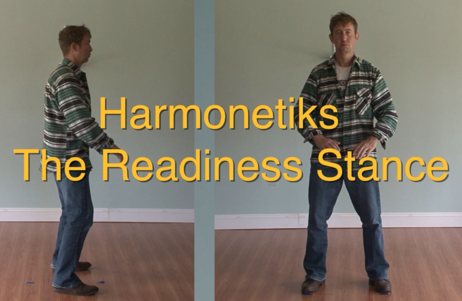 The Readiness Stance - Microvita Healing