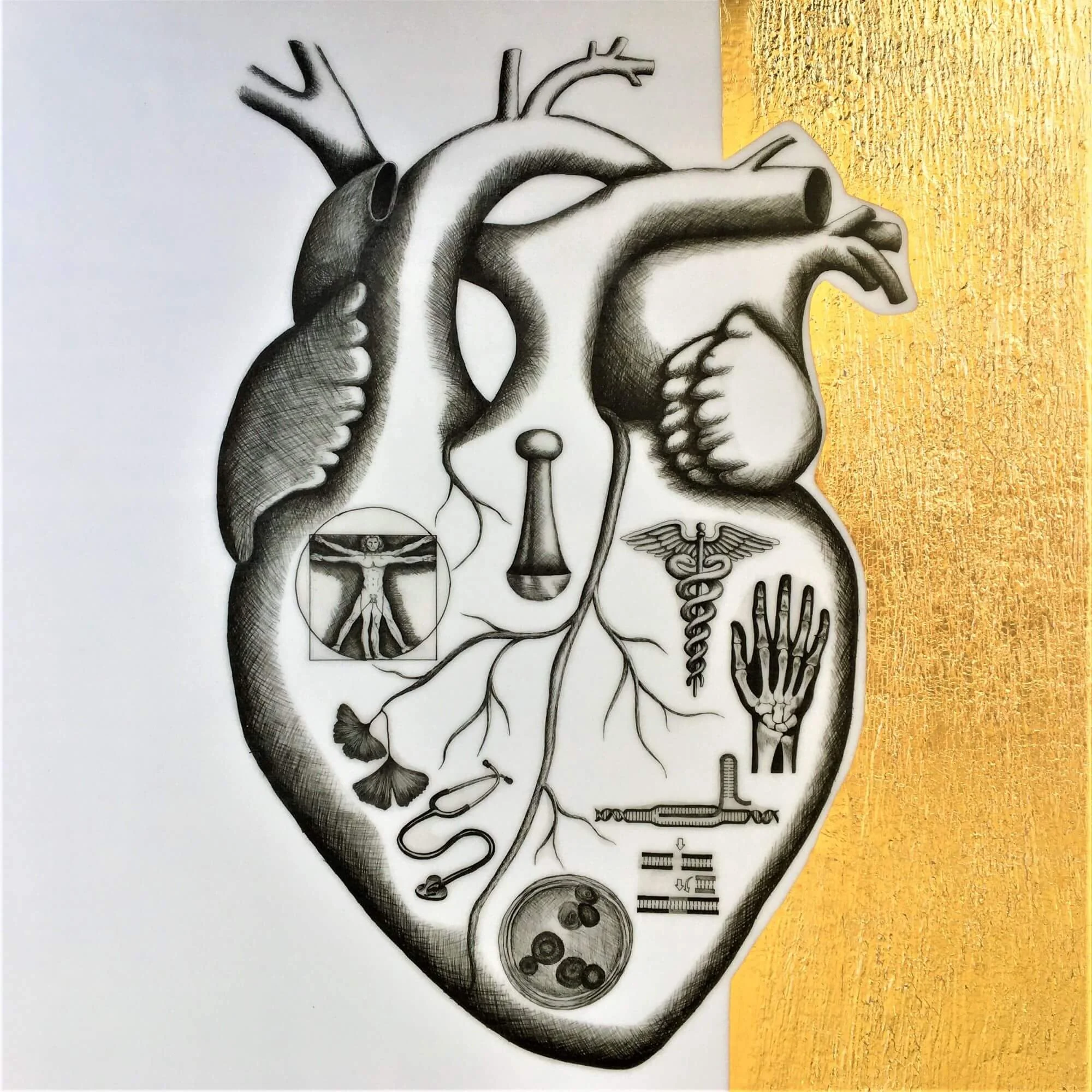 A History of Medicine — Aspire Gallery