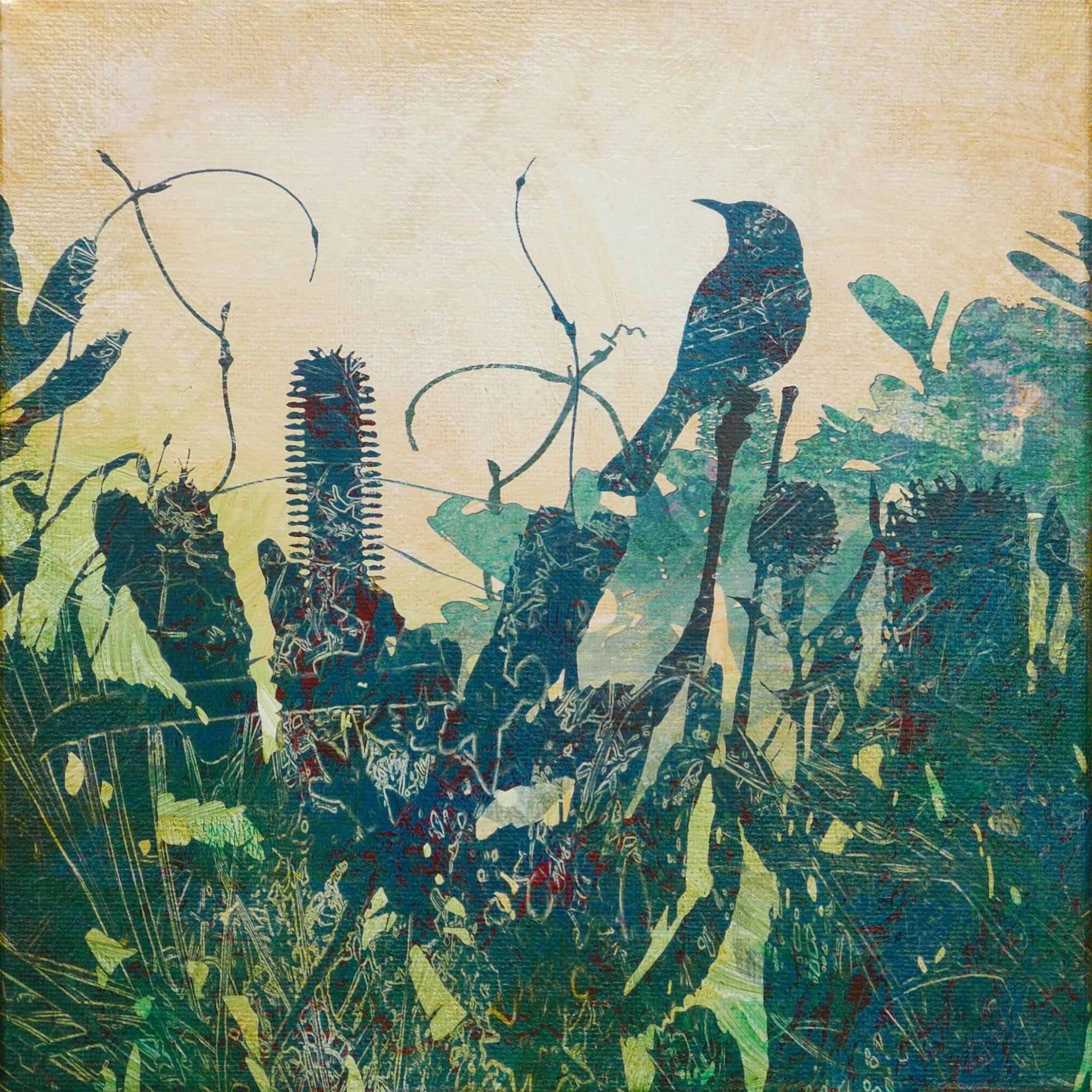 Sweet Honeyeater — Aspire Gallery