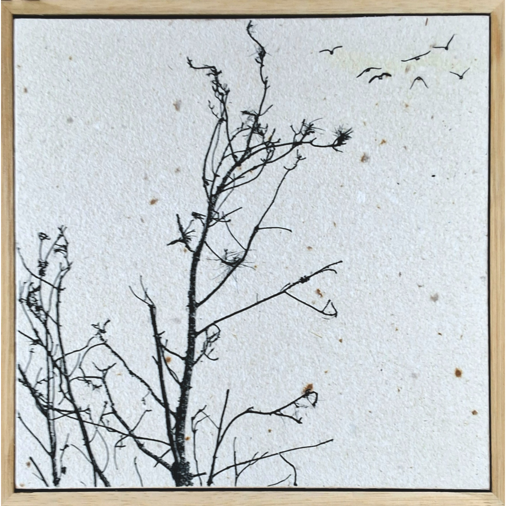 Birds Coming to Nest — Aspire Gallery