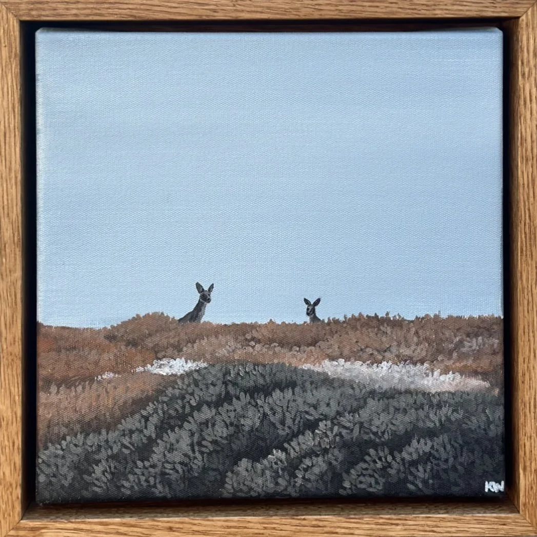 Mr Wren with a golden halo at sunrise — Aspire Gallery