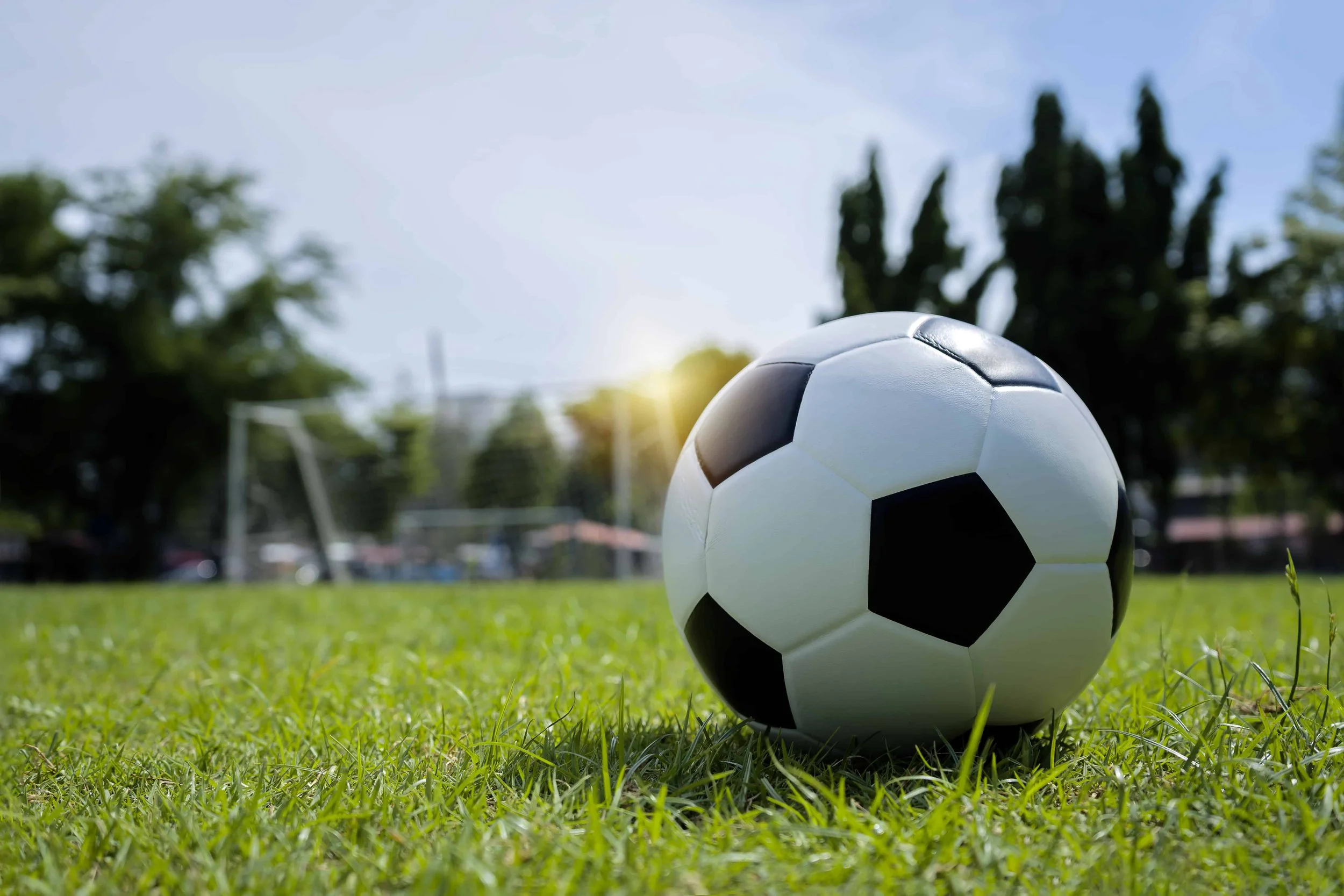 Canberra Tigers Football Club - Home of the Canberra Tigers Football Club.