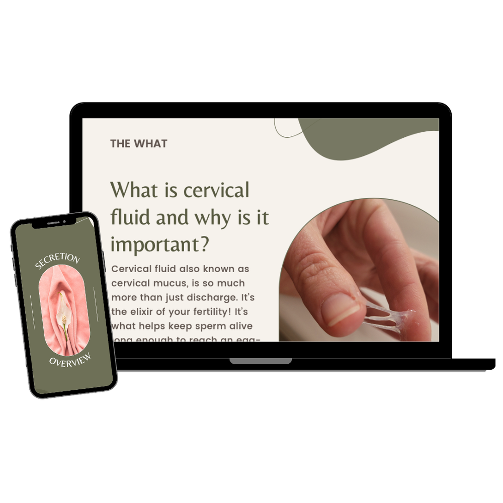 Cervical Fluid aka Cervical Mucus- what it is, why it matters, and what ...