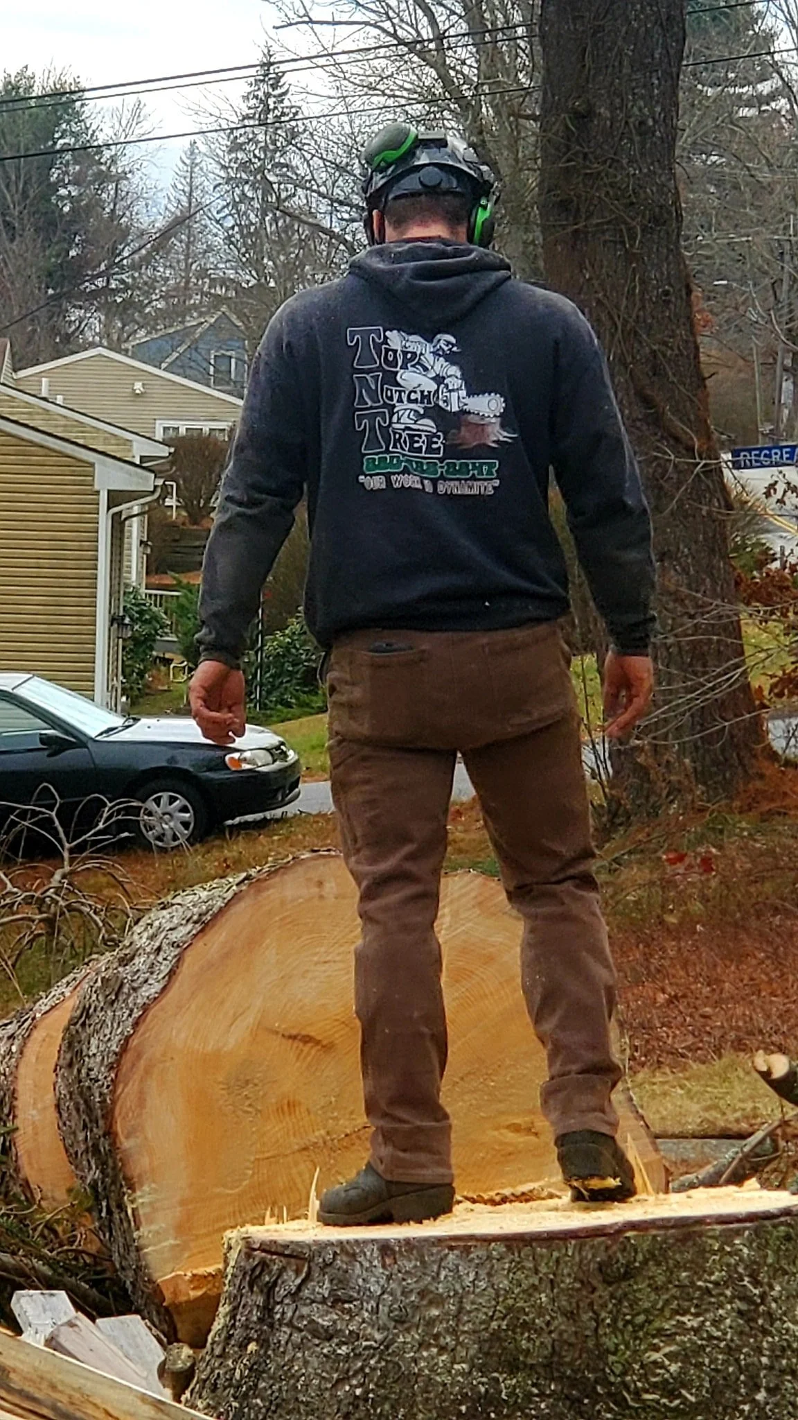 Top Notch Tree & Landscape LLC