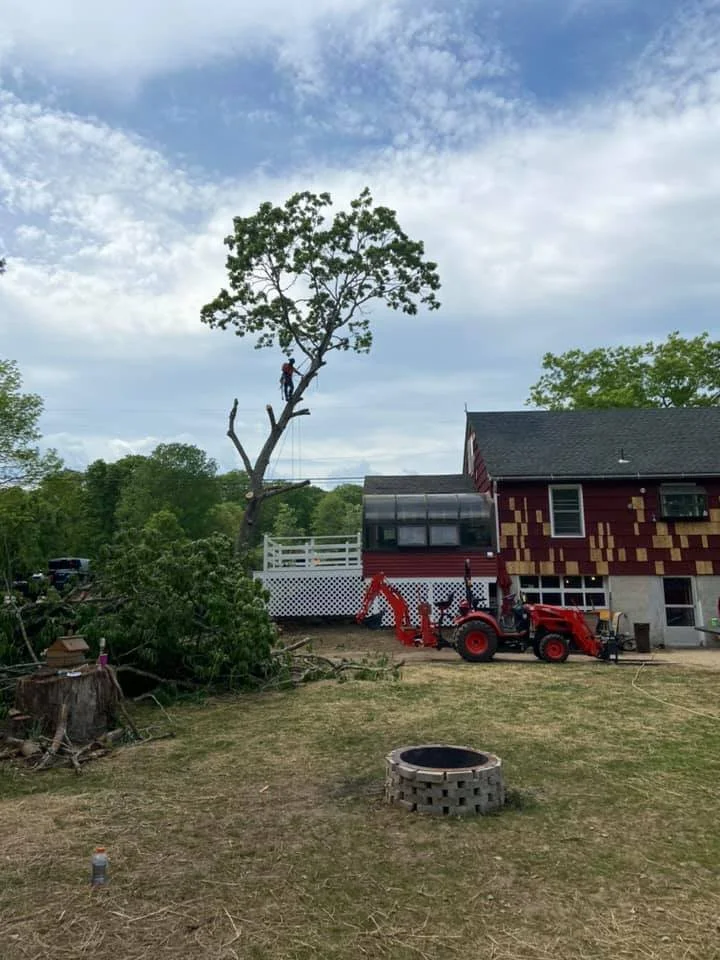 Top Notch Tree & Landscape LLC