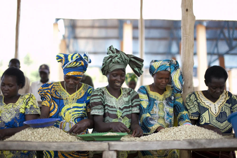 Our Process — ROOTS JAVA