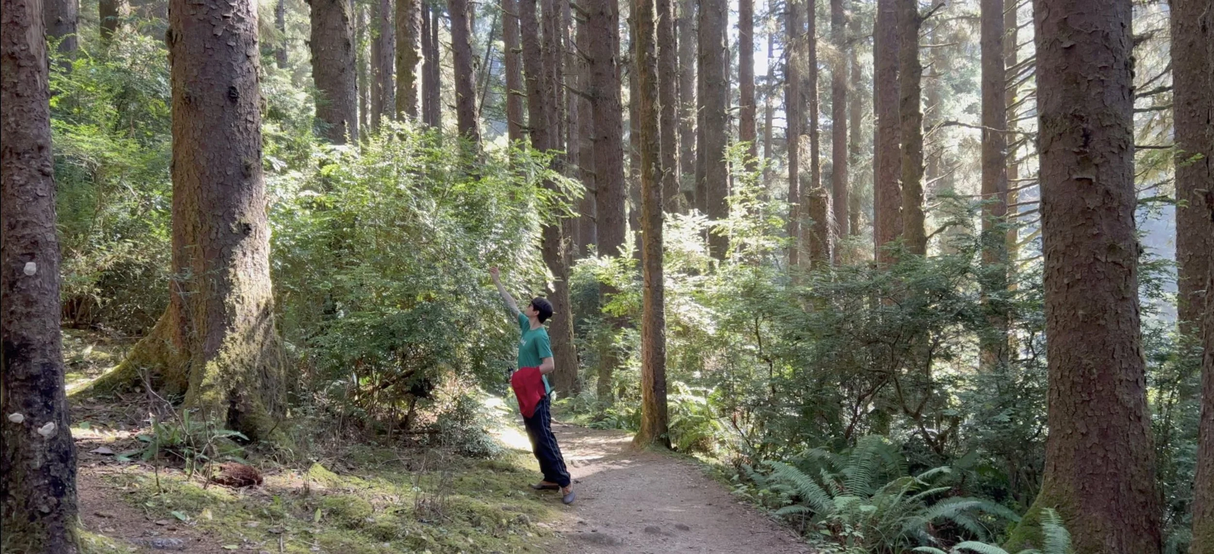 7 Edible Berries of the Pacific Northwest - Adventures with Holly & Bryan