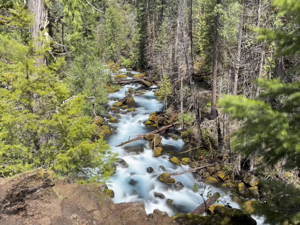 The Oregon Blue Pool: 10 Things You Must Know - Adventures with Holly ...