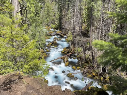 The Oregon Blue Pool: 10 Things You Must Know - Adventures with Holly ...