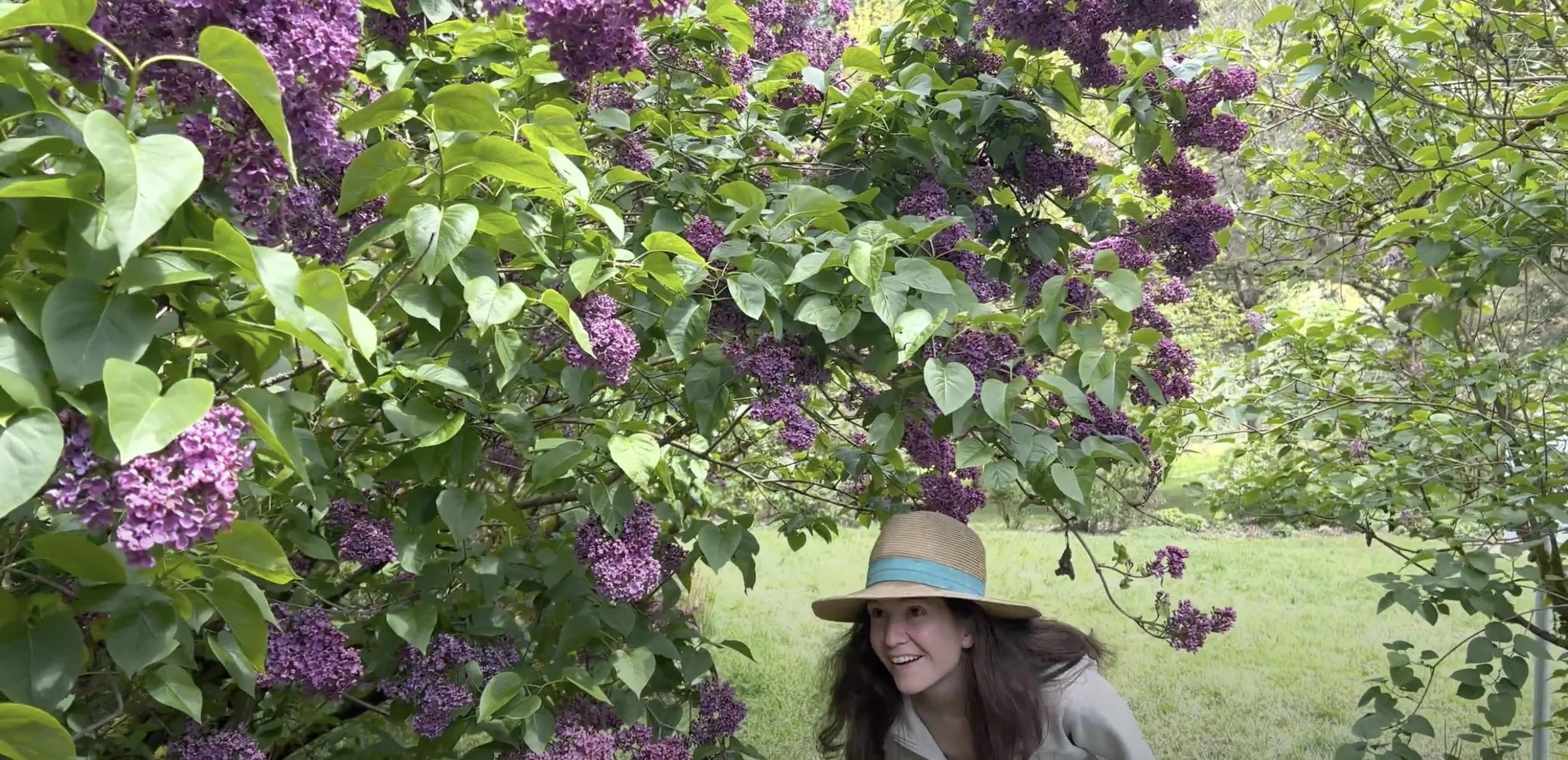 Guide to 10 Fabulous Flower Farms and Gardens in Oregon - Adventures ...