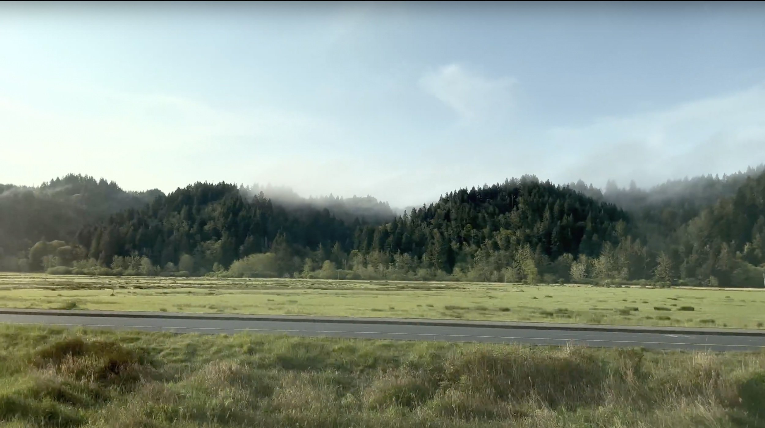 Best Place to See Oregon Coast Elk: Dean Creek Elk Viewing Area ...