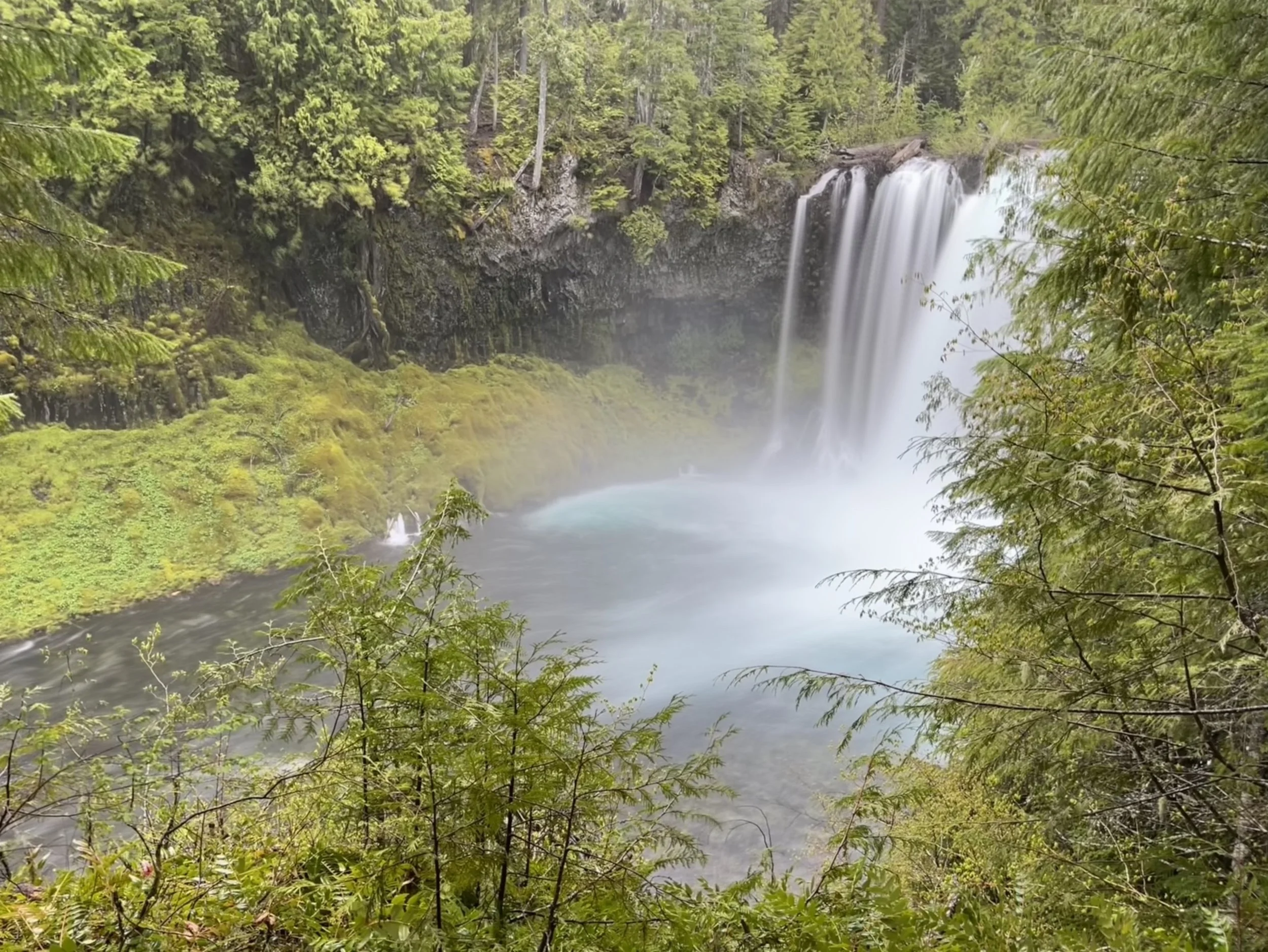 McKenzie River Trail: 3-Day Hiking Itinerary & Guide - Adventures with ...
