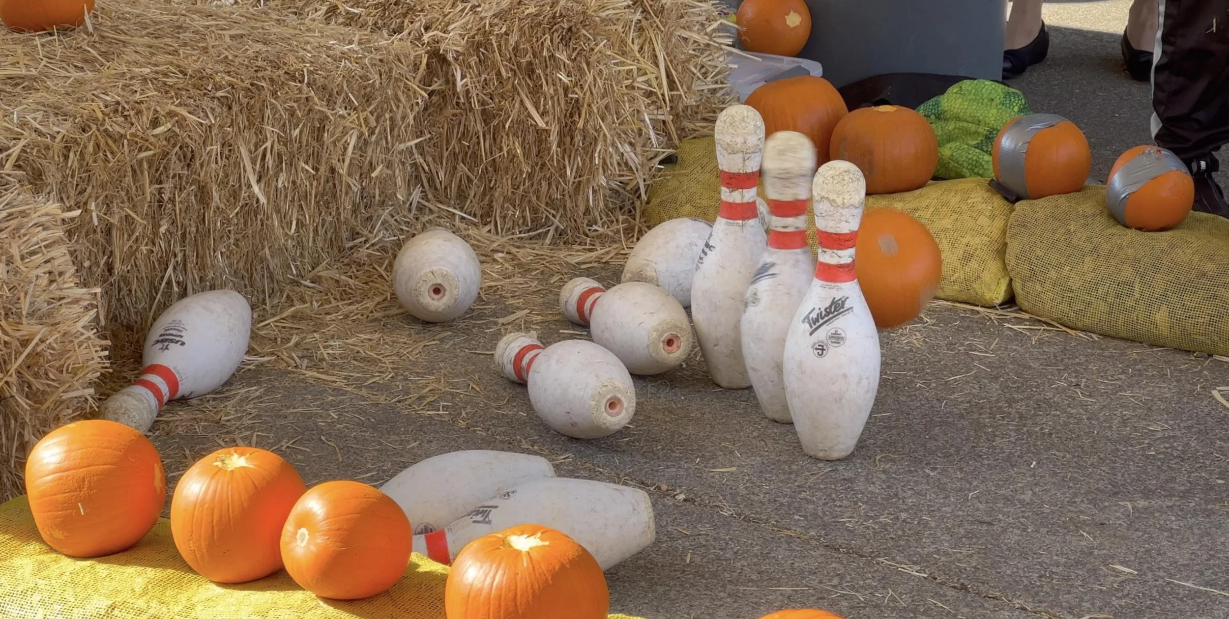 A Day at the West Coast Giant Pumpkin Regatta - Adventures with Holly ...