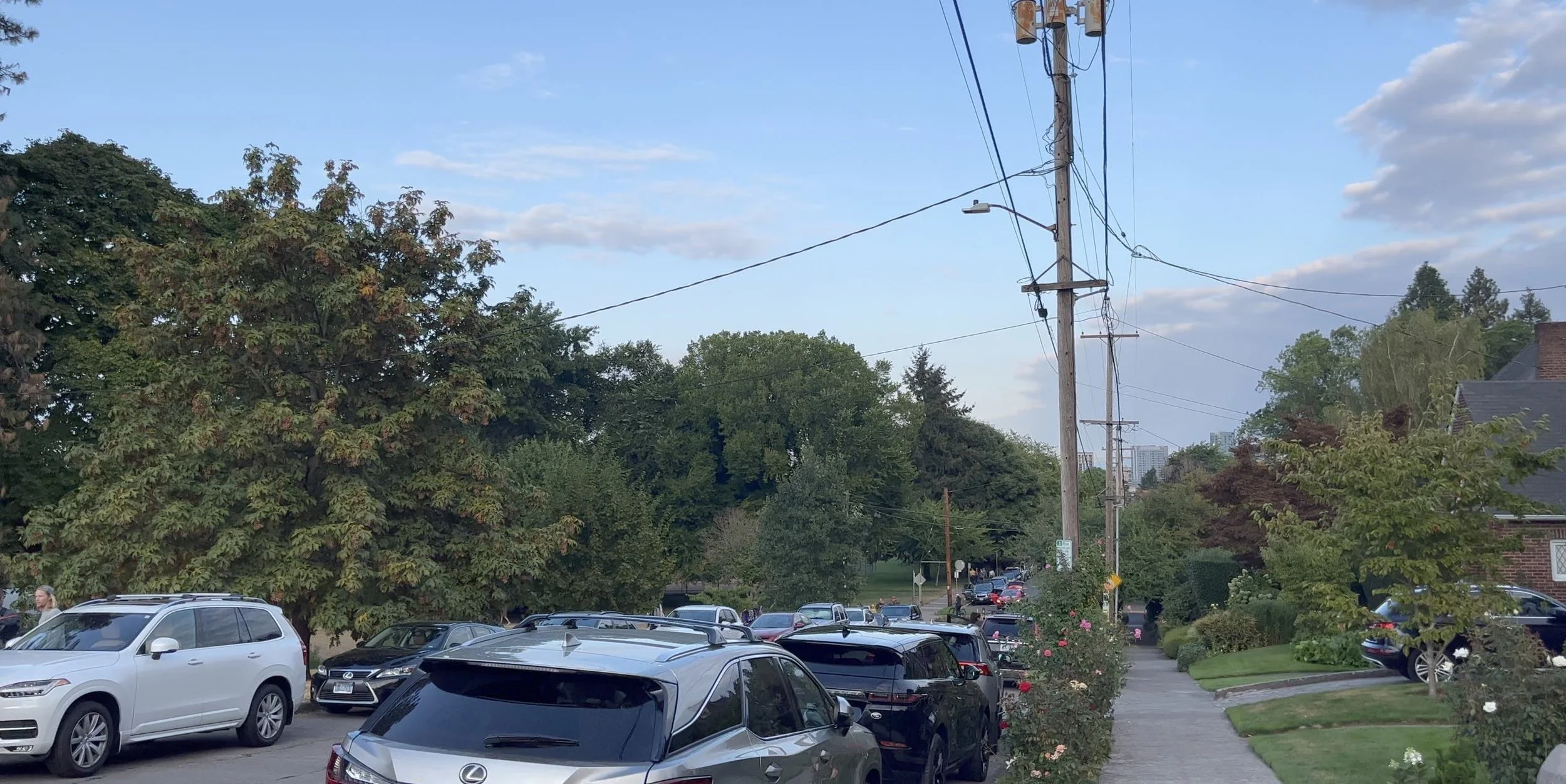 How to See Thousands of Portland Swifts Dive into a Chimney ...