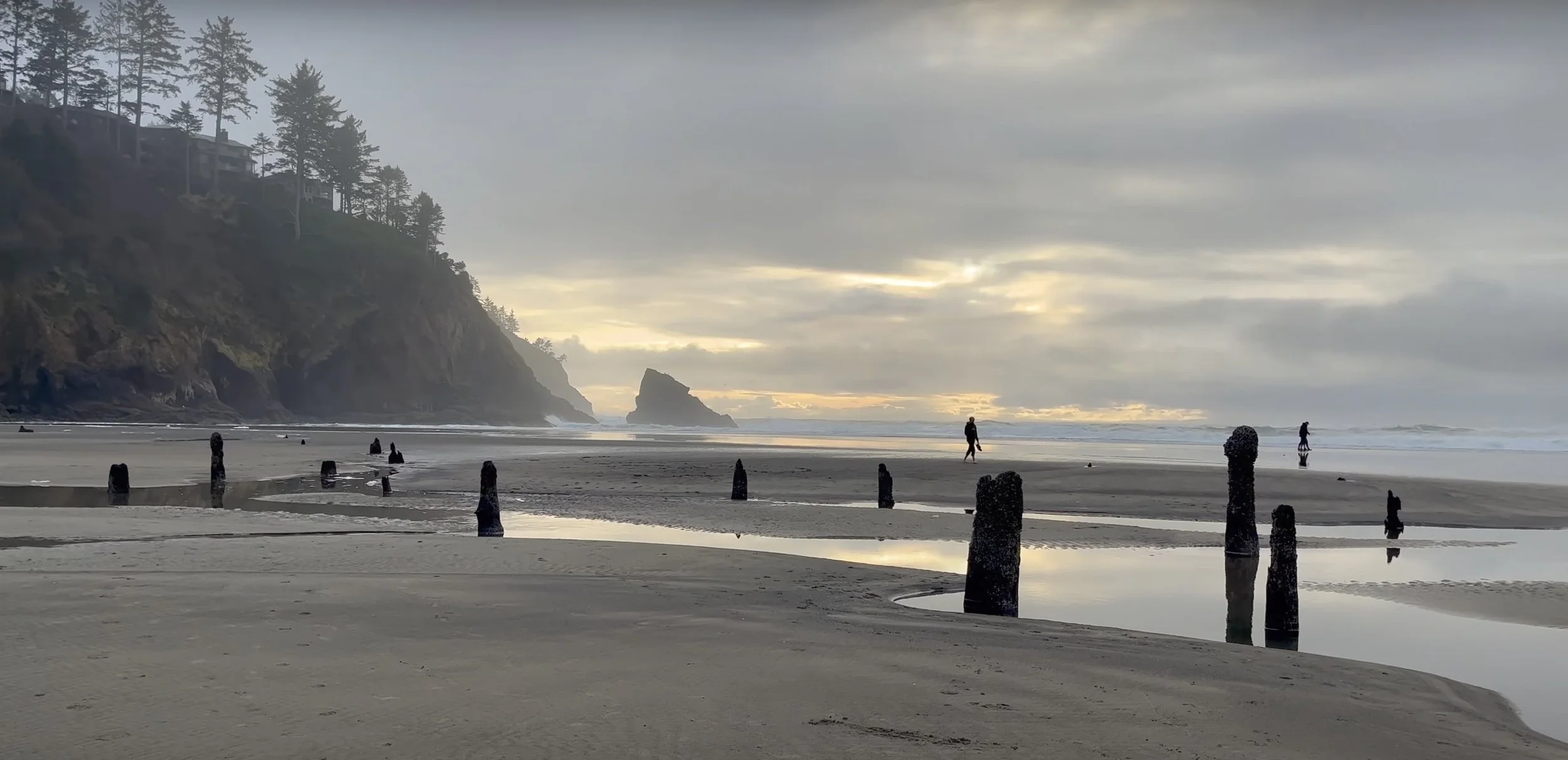 5 Things to Know about Neskowin's Hauntingly Beautiful Ghost Forest ...