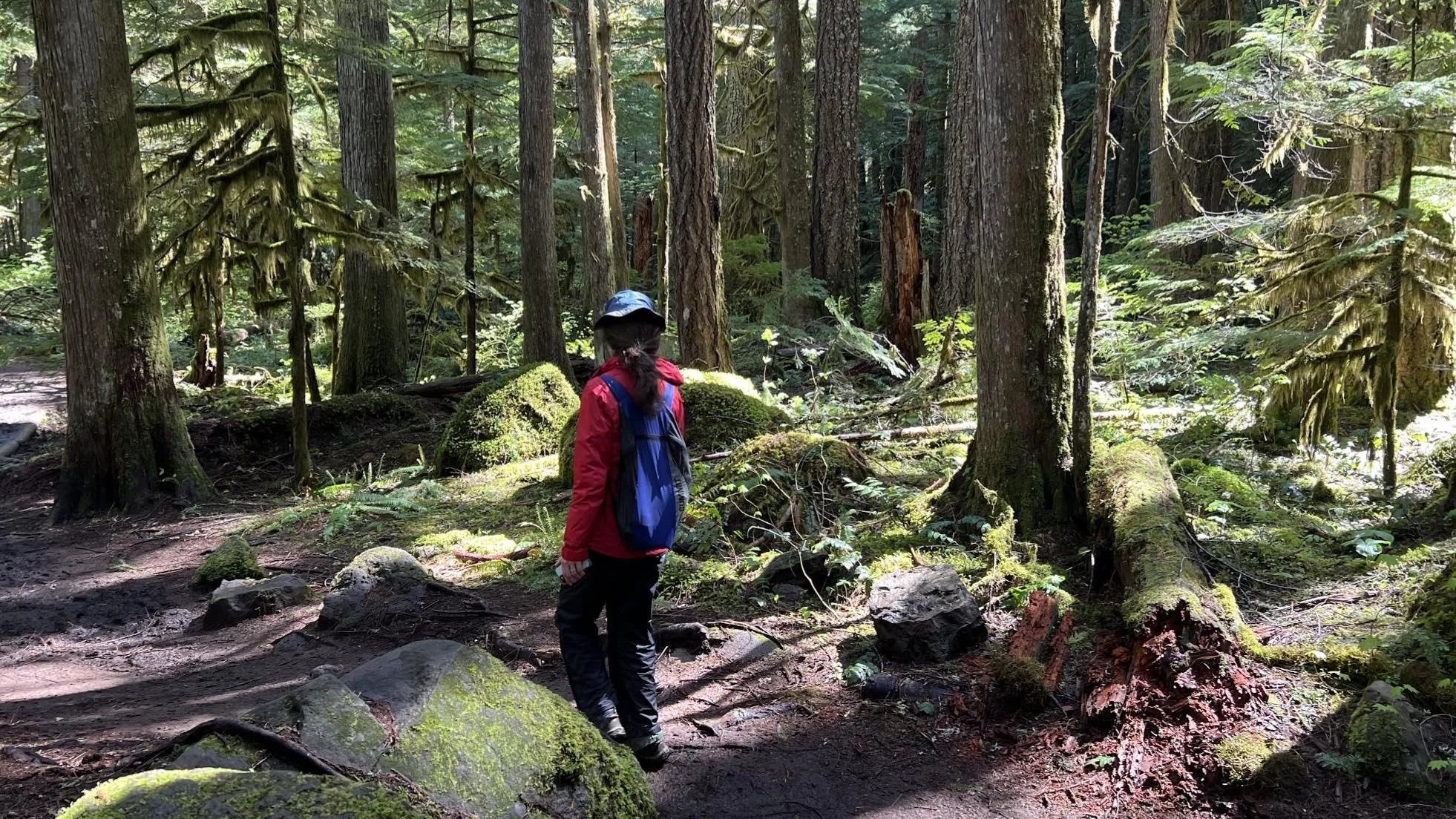 McKenzie River Trail: 3-Day Hiking Itinerary & Guide - Adventures with ...