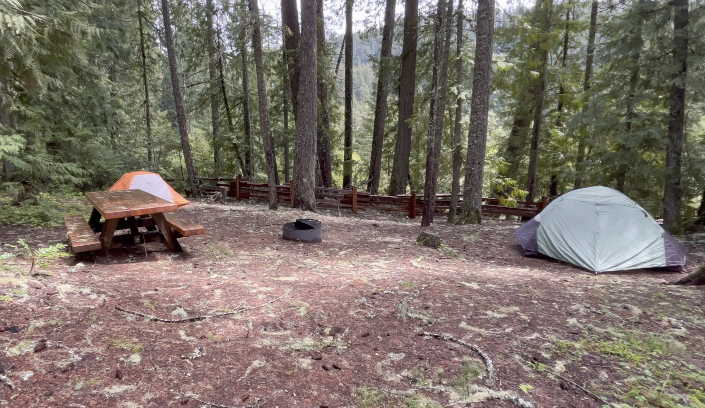 Mckenzie River Campgrounds