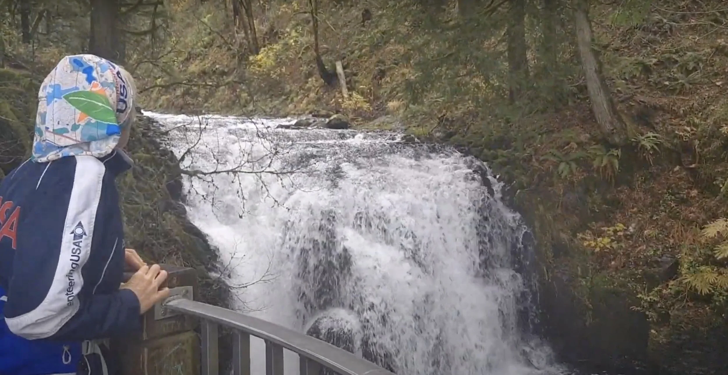 Top Of Multnomah Falls