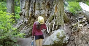 Lewis River Falls Trail Has Two Bucket List Waterfalls - Adventures ...