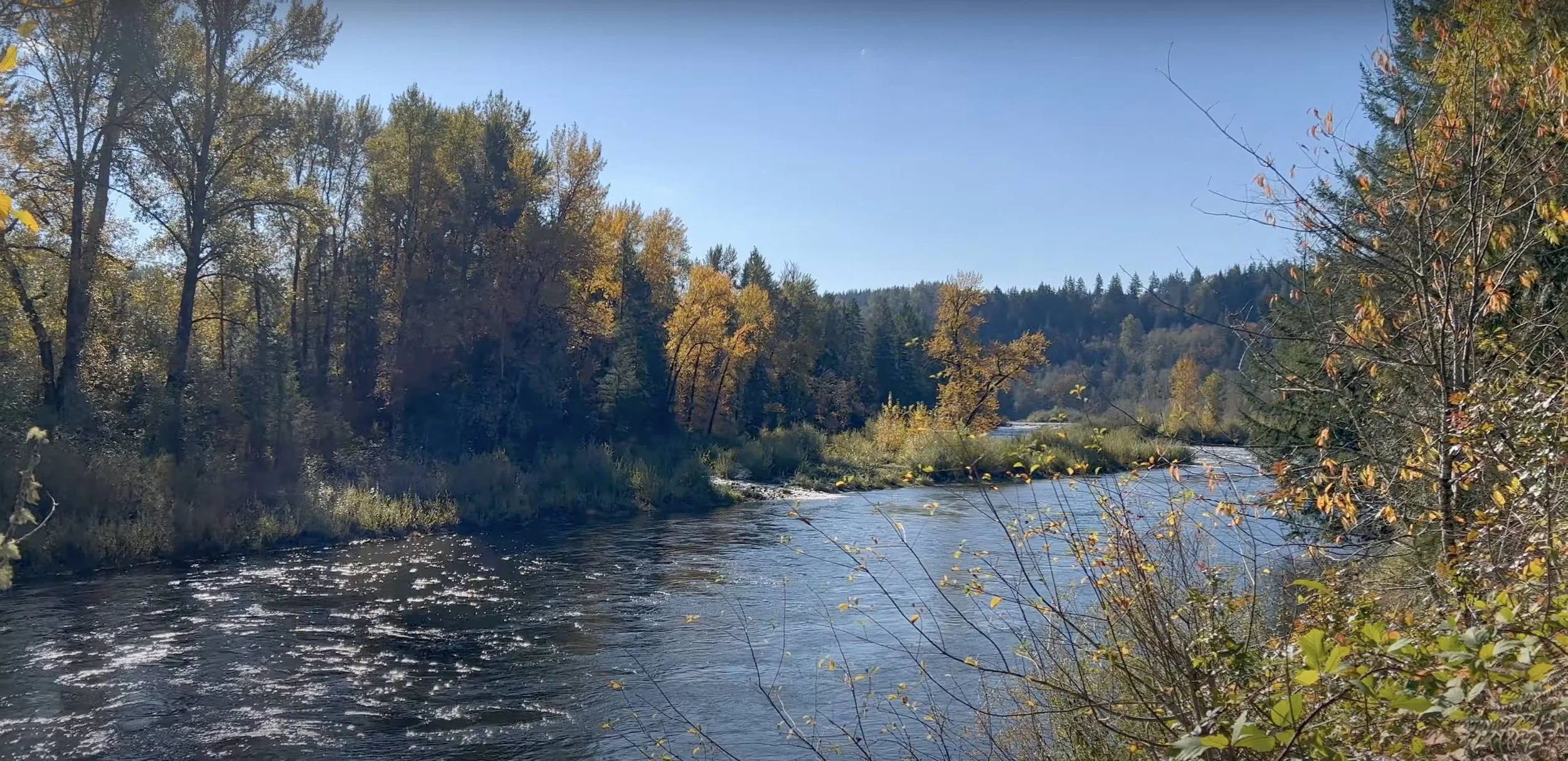 Fall Hikes Near Portland: Milo McIver State Park - Adventures with ...