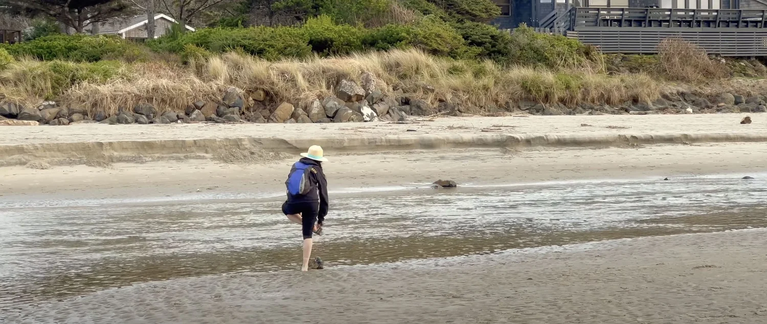 5 Things to Know about Neskowin's Hauntingly Beautiful Ghost Forest ...