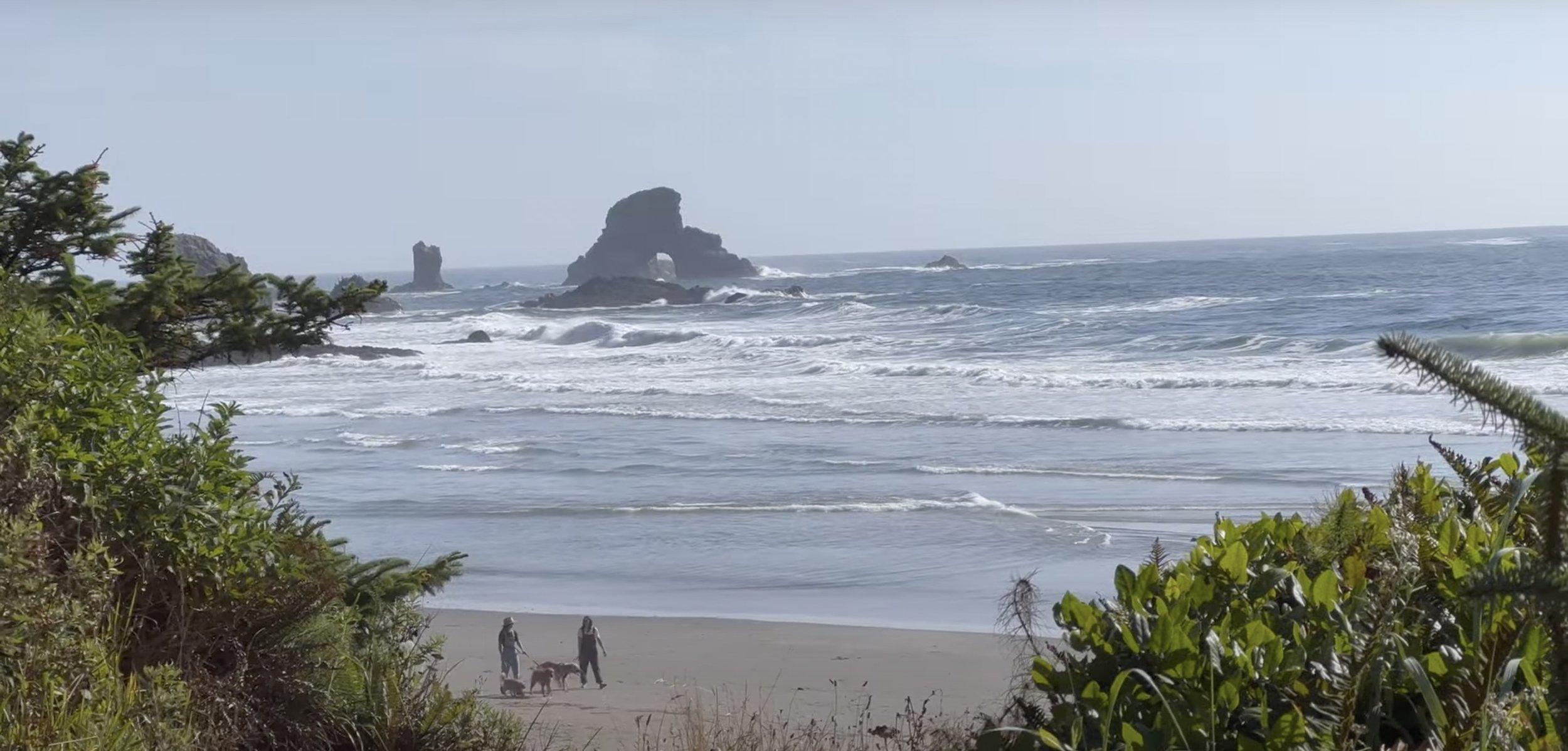 The Indian Beach Trail: One of the Best Hikes Near Cannon Beach ...