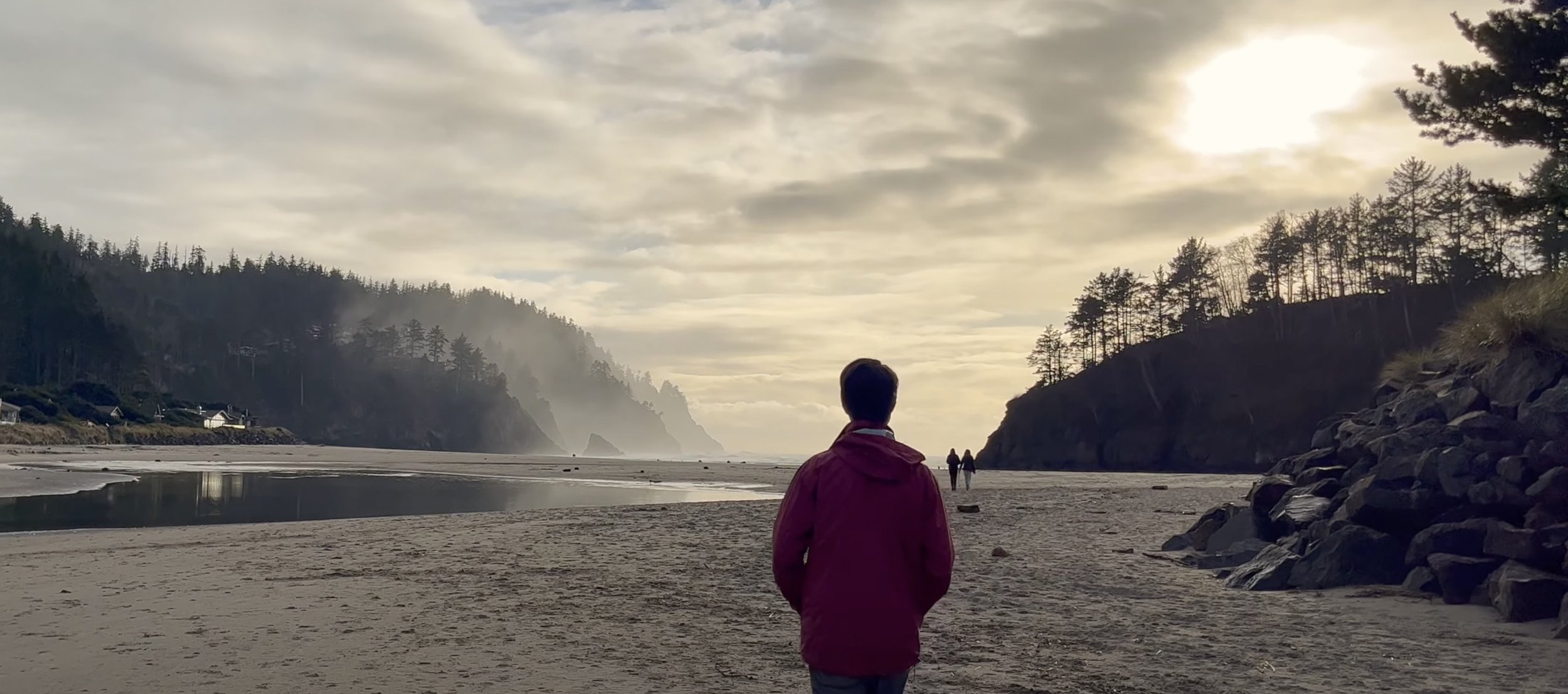 5 Things to Know about Neskowin's Hauntingly Beautiful Ghost Forest ...