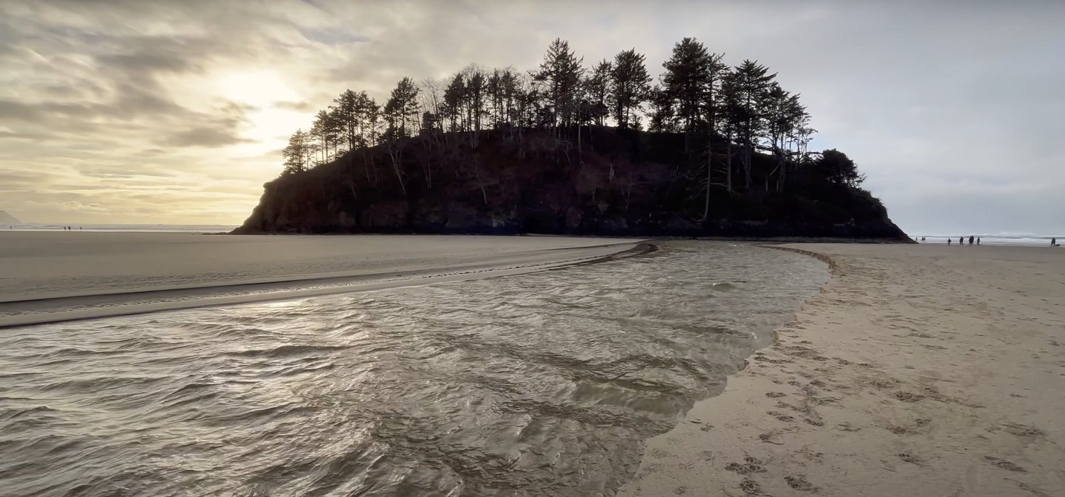 5 Things to Know about Neskowin's Hauntingly Beautiful Ghost Forest ...