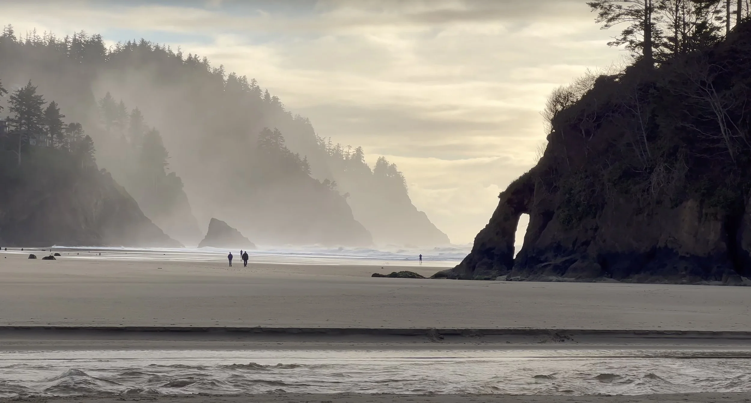 5 Things to Know about Neskowin's Hauntingly Beautiful Ghost Forest ...