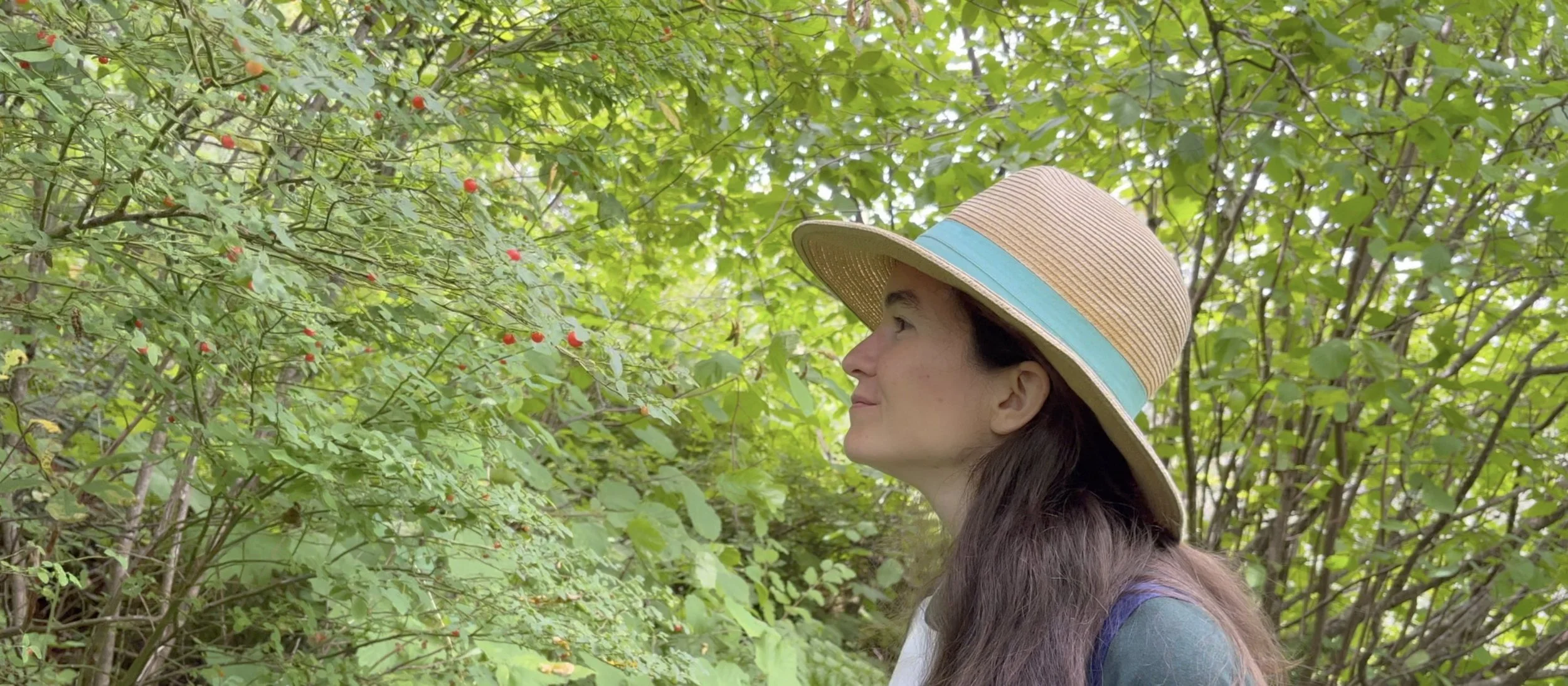 7 Edible Berries of the Pacific Northwest - Adventures with Holly & Bryan
