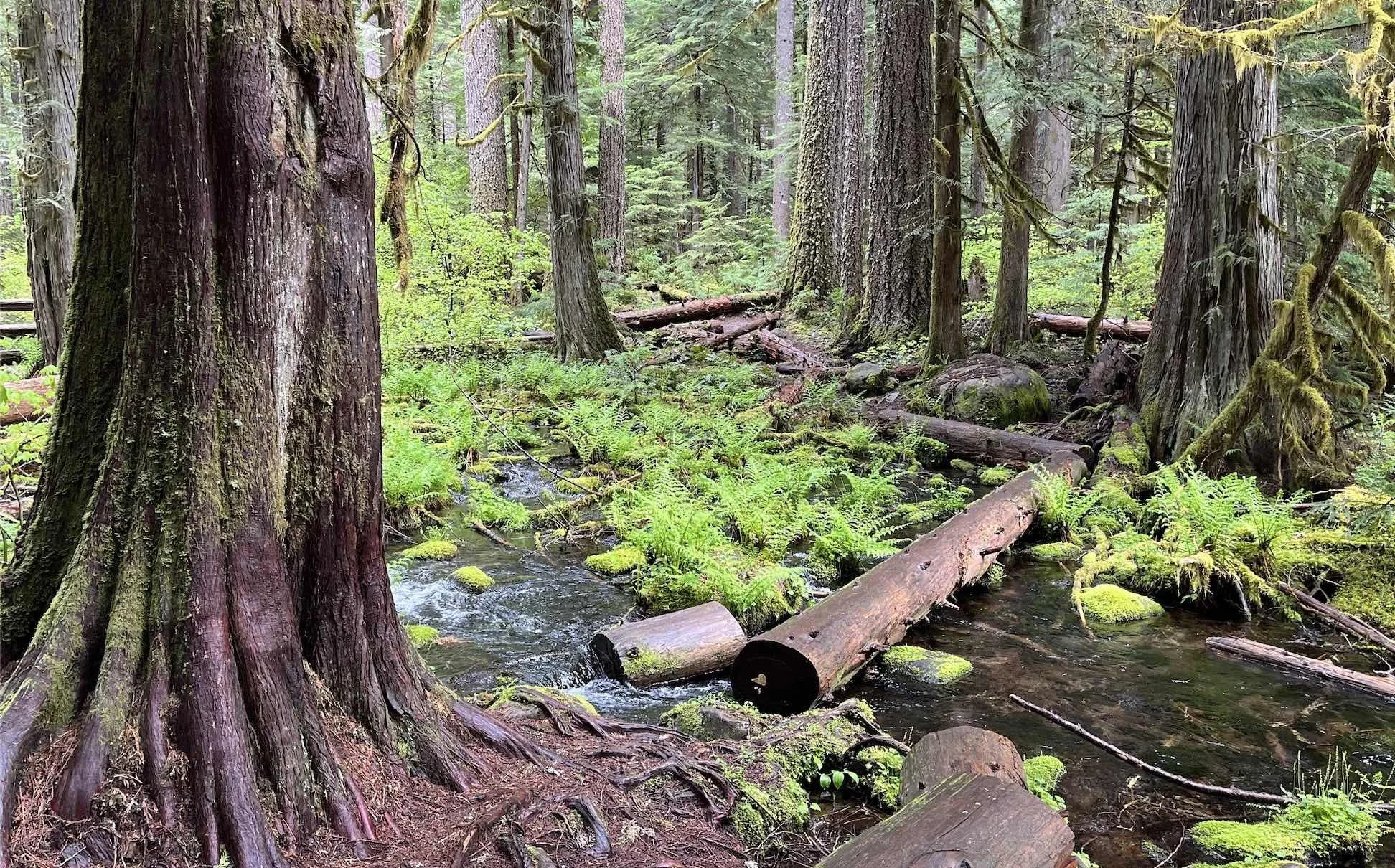 The Oregon Blue Pool: 10 Things You Must Know - Adventures with Holly ...