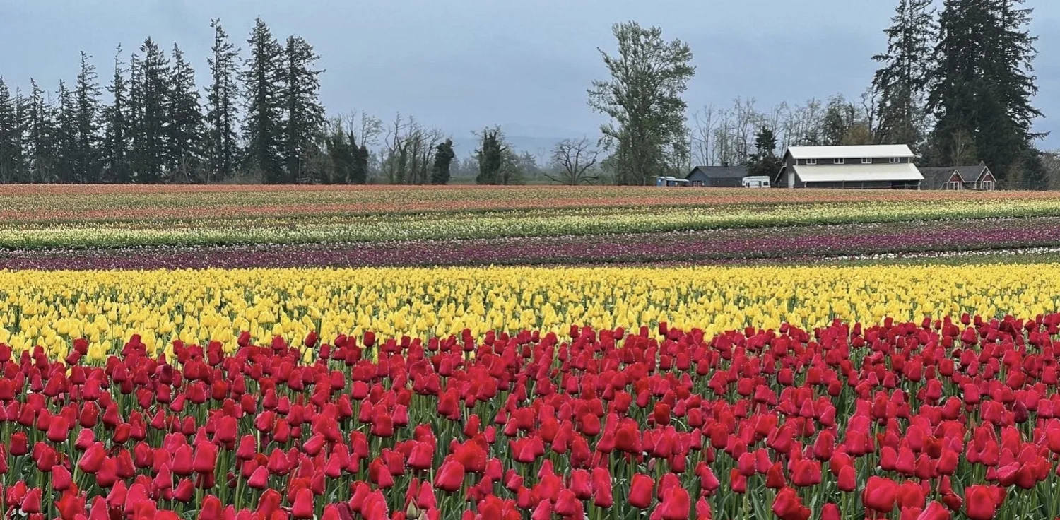 Guide to 10 Fabulous Flower Farms and Gardens in Oregon - Adventures ...