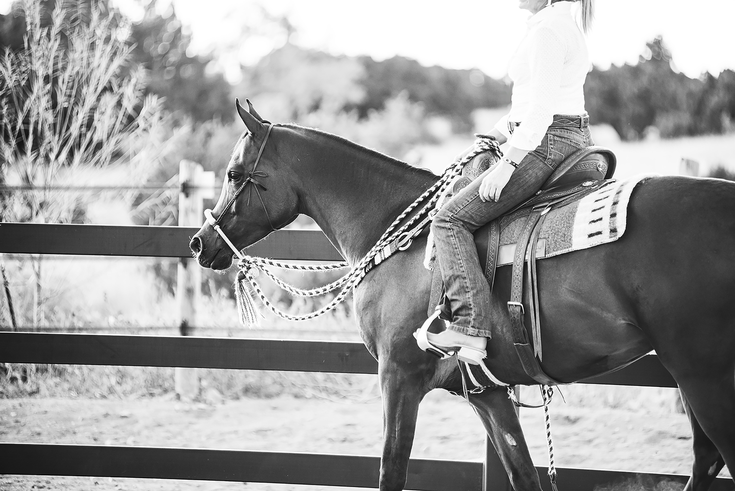 ThunderCloud Saddle Blankets