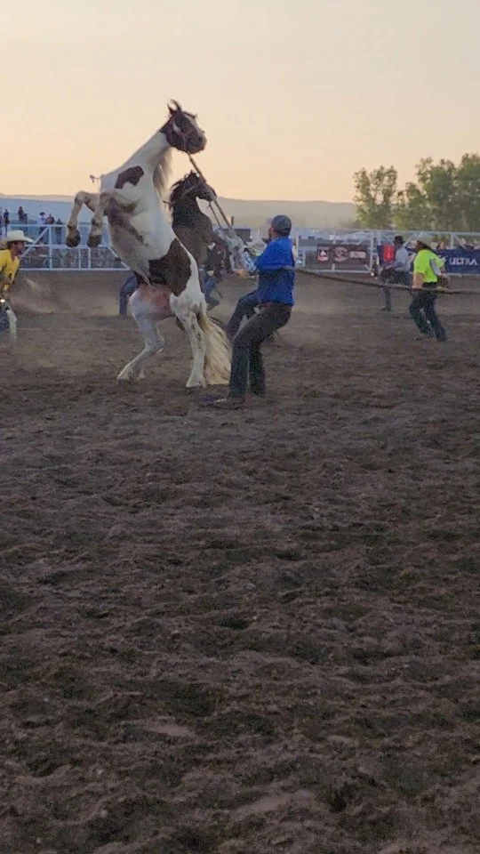 About — Ken Bogner for Congress