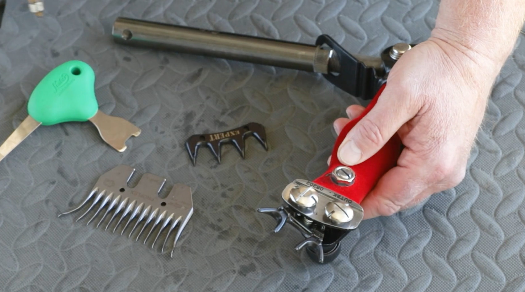 What sheep shearing equipment do you need to shear sheep? — The ...