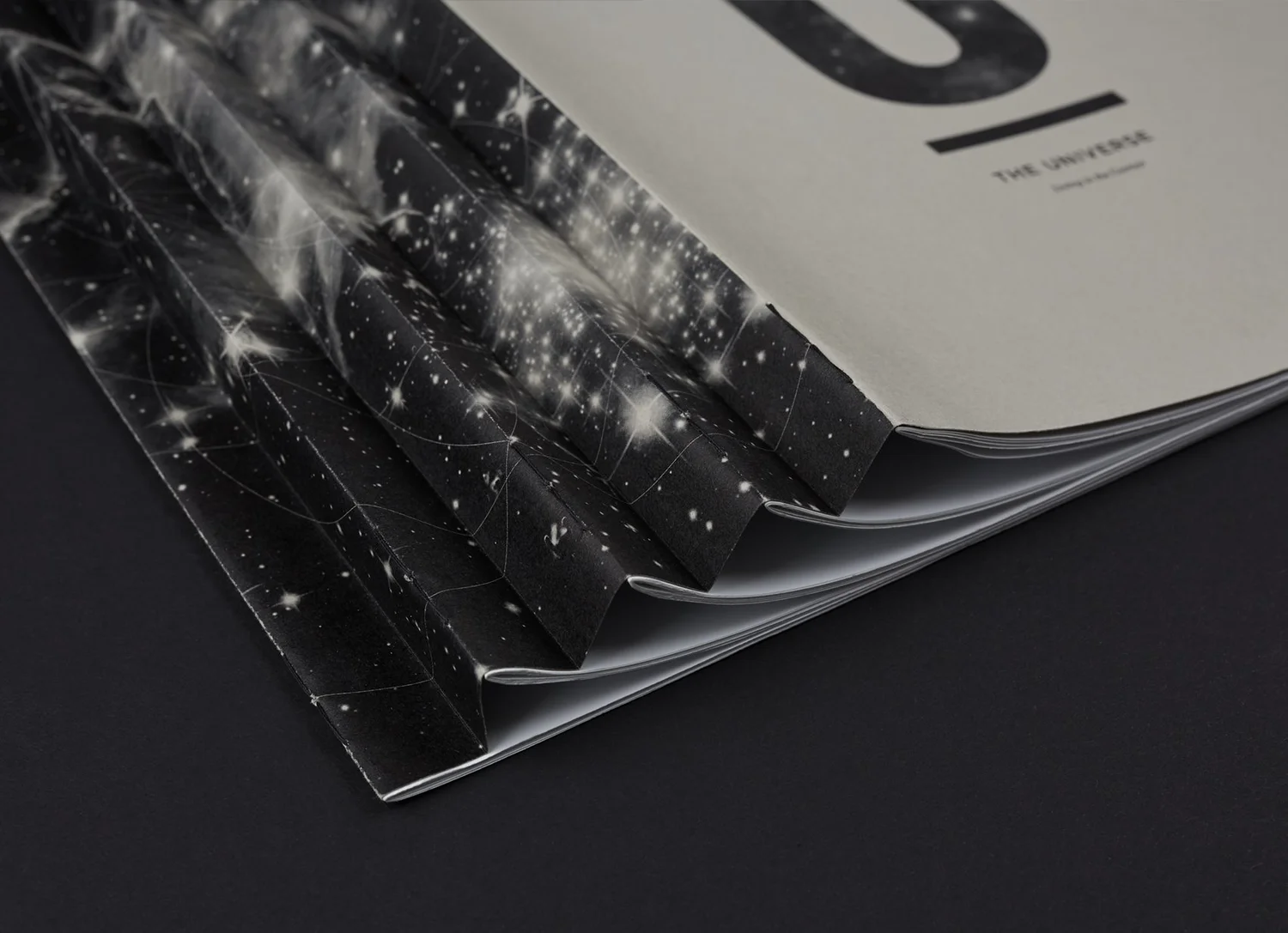 Mocci Studio — Brand Identity & Design