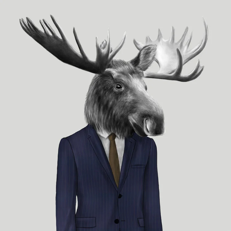 Mocci Studio — Branding & Portraits