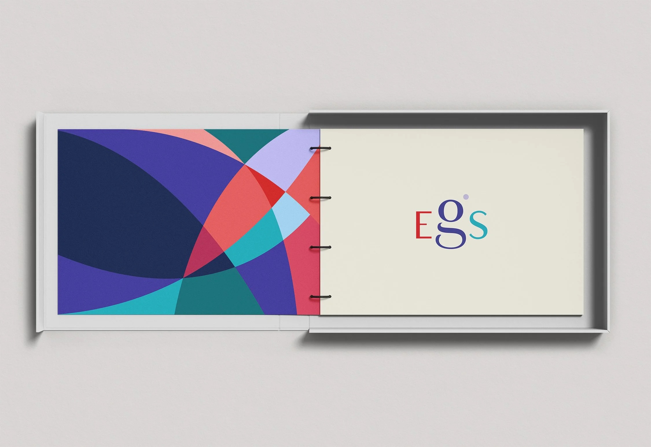 Mocci Studio — Branding & Portraits