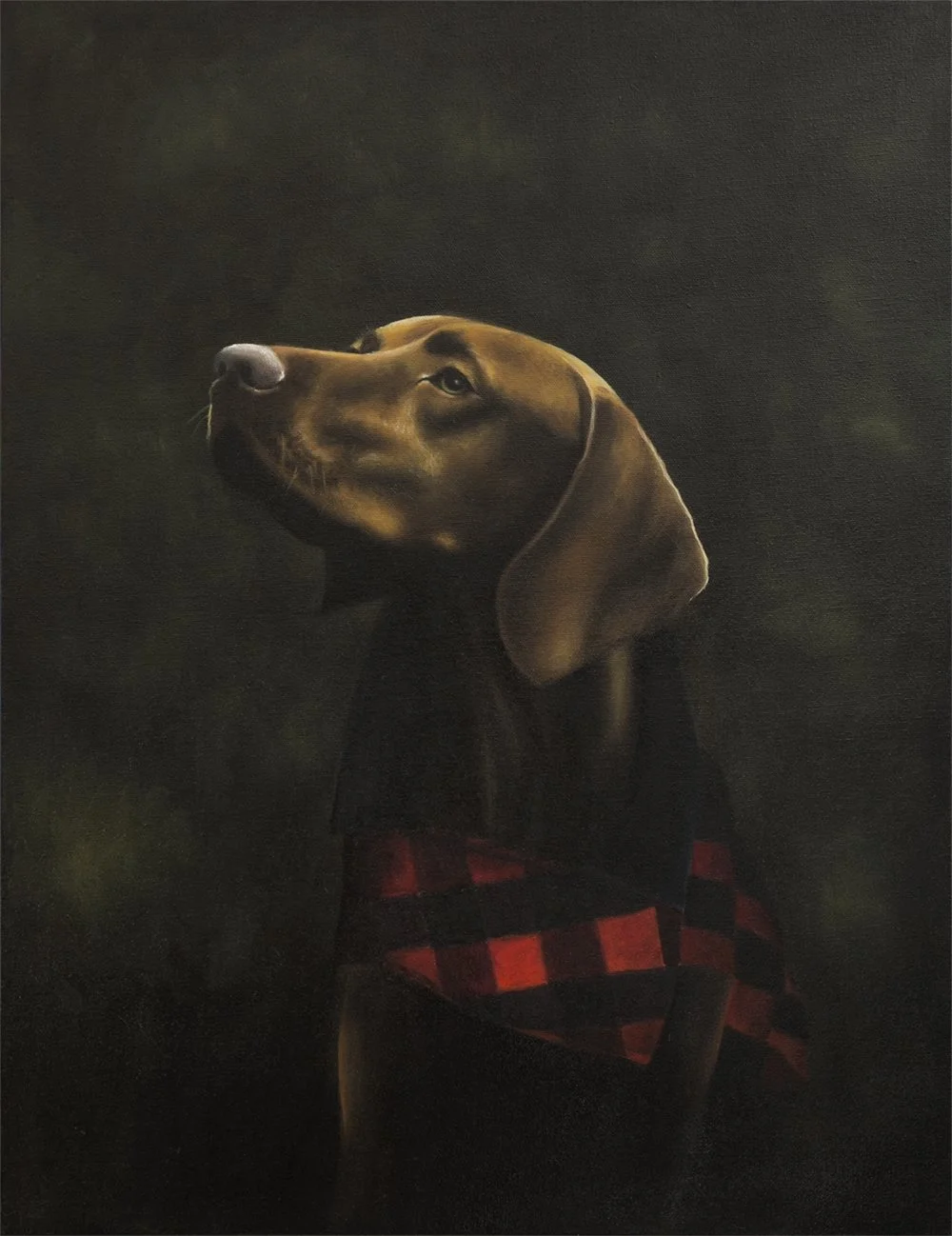 Portraits — Amanda Mocci