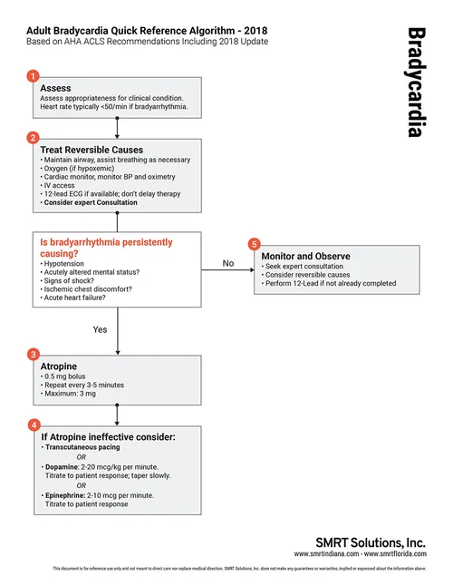 Adult Bradycardia Quick Reference Algorithm (2015) — Beach CPR