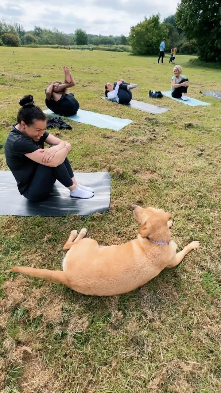 Core & Flow Movement Studio