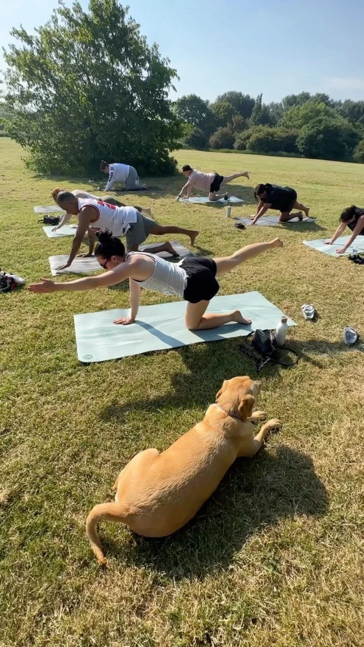 Core & Flow Movement Studio