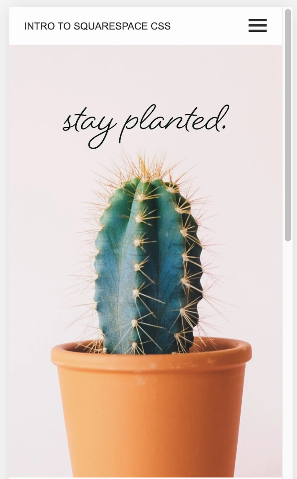 Squarespace CSS: 10 code snippets & plugins for styling your site in ...