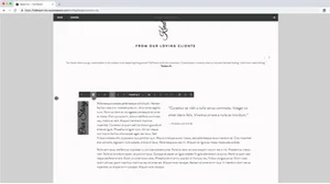 35 CSS code snippets & plugins for your Squarespace site — Paige Brunton
