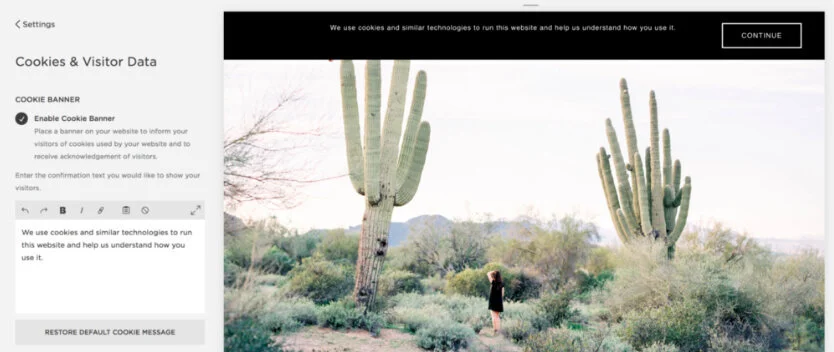 35 CSS code snippets & plugins for your Squarespace site — Paige Brunton