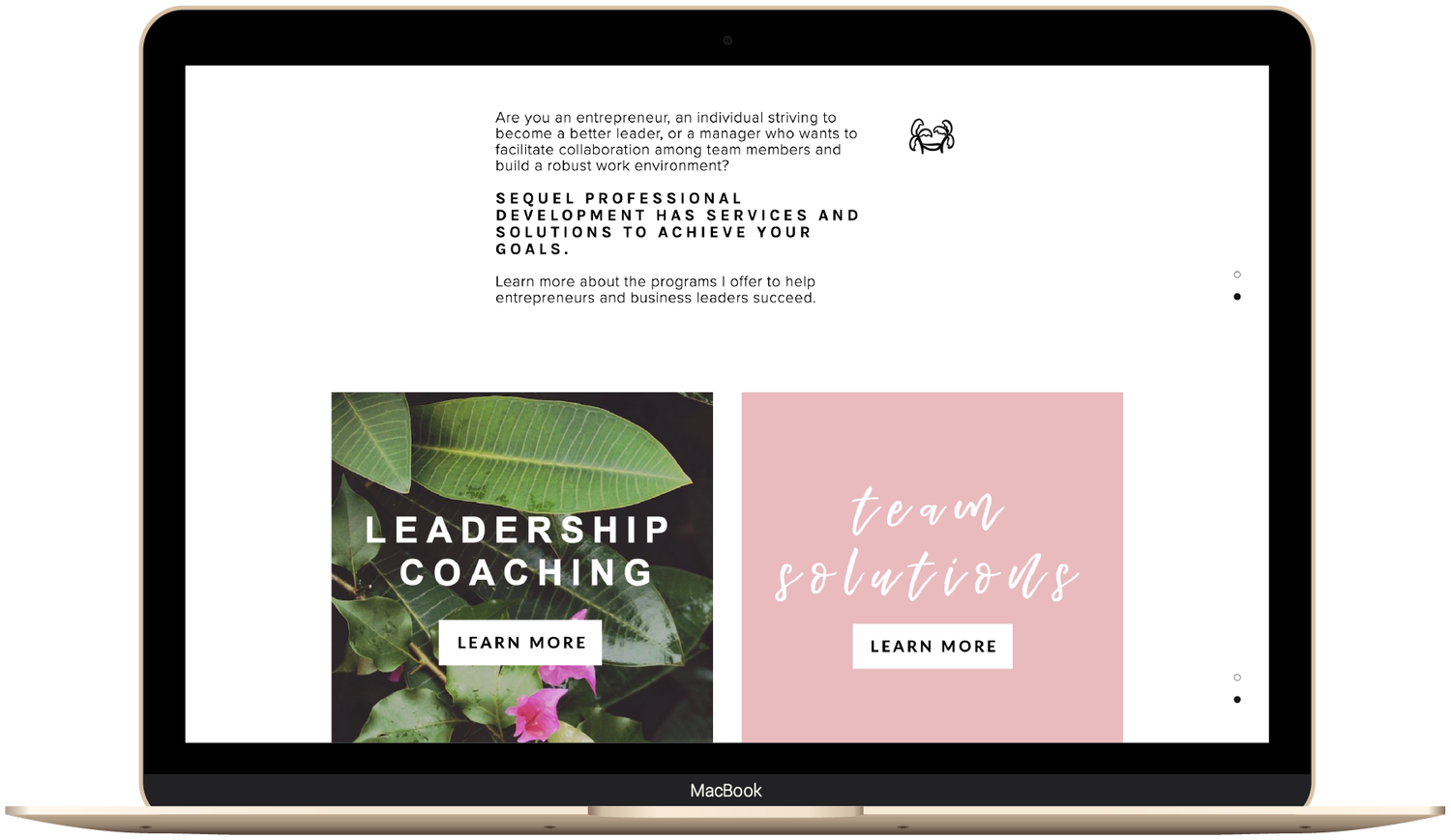 Sequel Professional Development Website Design — Paige Brunton