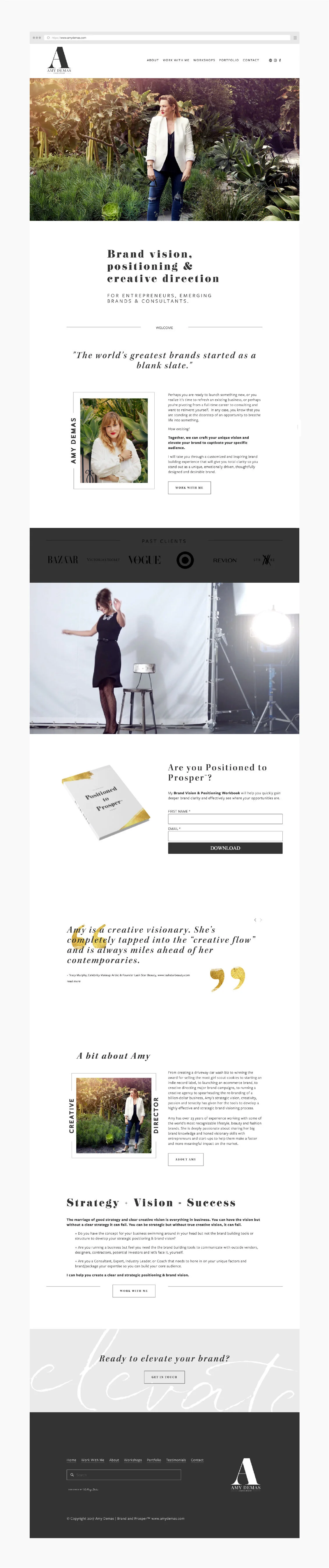 Amy Demas Website Design — Paige Brunton