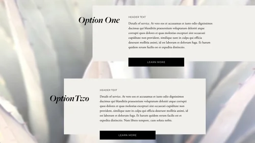 7 trendy website section designs to copy — Paige Brunton