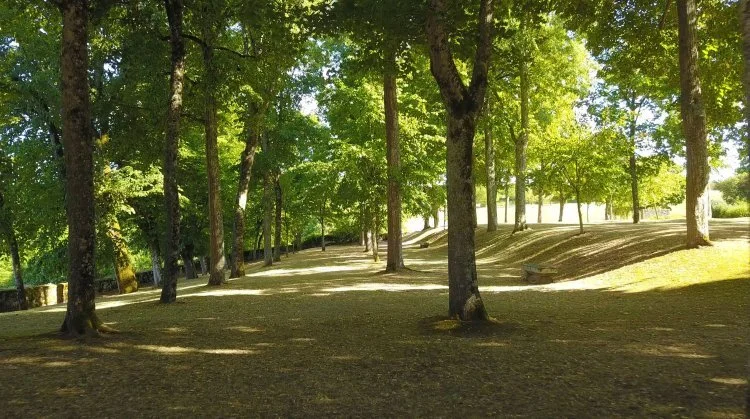 Camp Château