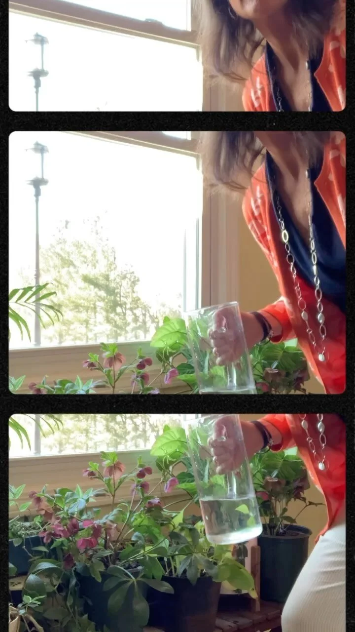 Tina Wolfe Creative Business Solutions